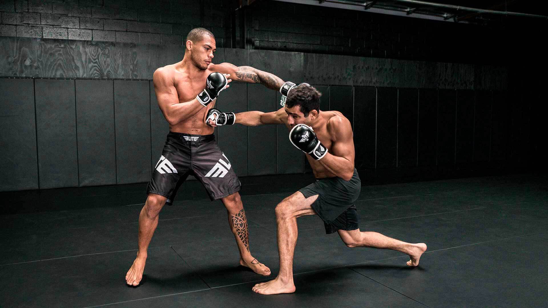 Preparação física para lutas: organização e planejamento - Congresso ...